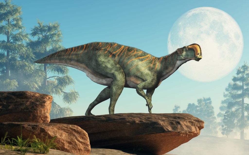 New ornithischians