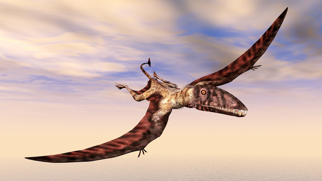 Dimorphodon