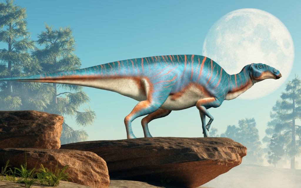 New ornithischians